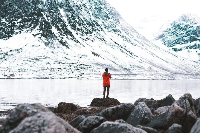 Arctic Fjord Sightseeing by Minibus - Exploring Kvaløya, Sommarøy, and Hella