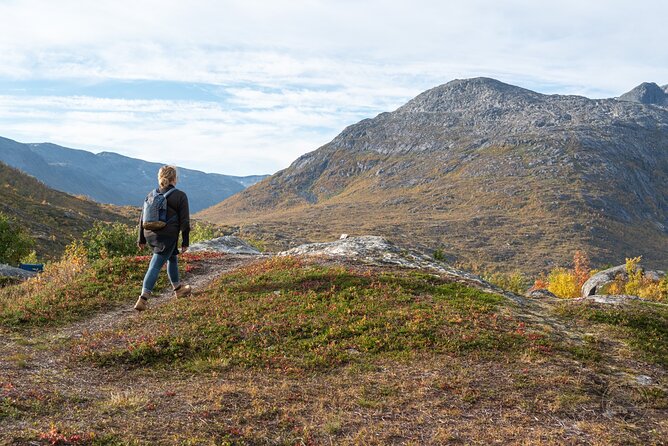 Arctic Roadtrip: Fjords With Scenic Picnic | Private - Inclusions and Logistics