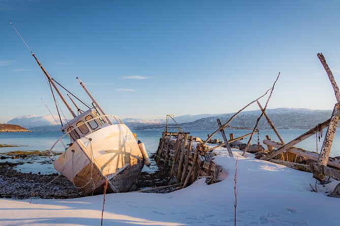 Arctic Wildlife and Fjord Sightseeing - Exciting Wildlife Sightings