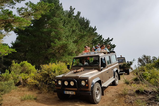 Arieiro Peak, Santo Da Serra and Cristo Rei 4x4 Experience - Discovering Pico Do Arieiros Splendor