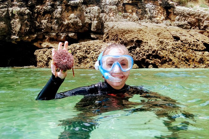Arrábida Snorkeling Adventure With Transfer From Lisbon - The Marine Wonders of Arrábida National Reserve