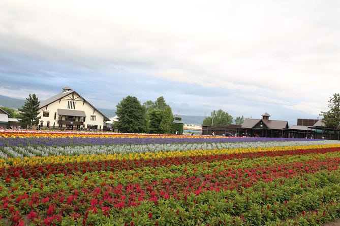 Asahiyama Zoo, Aoiike, Farm Tomita, Ningle Terrace (from Sapporo) - Included Services