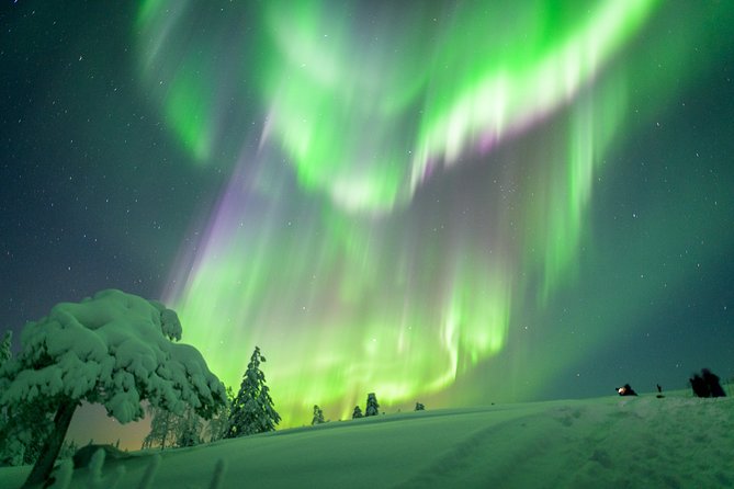 Auroras in Saariselkä – Northern Lights Photo Tour by Car and on Foot - Meeting Point and Pickup Options