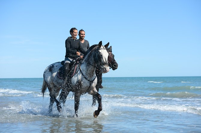 Awaken to Paros: A Scenic Morning Horseback Ride - Scenic Sights From the Saddle