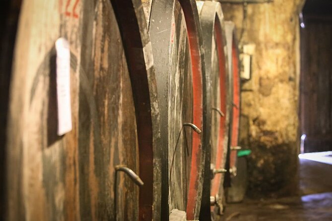 Barolo & Barbaresco Wine Tour With a Winemaker - Winery Visits