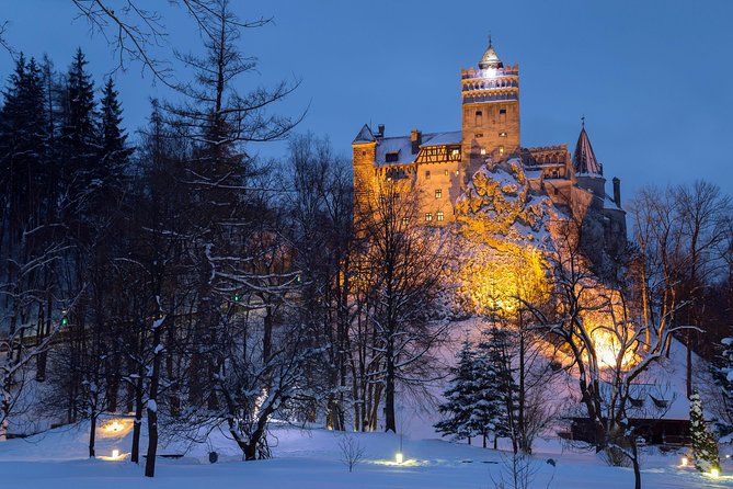 Bear Sanctuary and Bran Castle With a Professional Licensed Guide—Day Trip - Highlights of the Itinerary