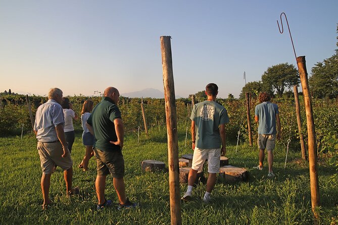 Beekeeping Farm Tour and Tasting Experience in Lazise - Exploring the Beekeeping Farm and Learning About Bees