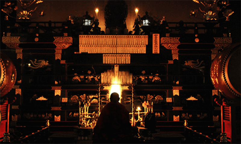 BEST OF TOKYO HIGHLIGHTS - WALKING TOUR PART 2 - Omoide Yokocho: Indulging in Nostalgic Yakitori Delights