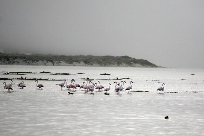 Boat Tours in the Óbidos Lagoon - Booking and Cancellation Policy