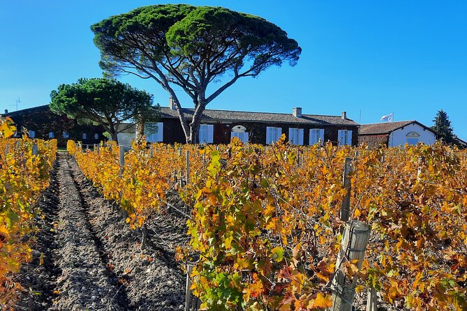 Bordeaux Médoc Region Private Wine Lovers Tour With Chateau Visits & Tastings - Expert-Led Wine Tastings