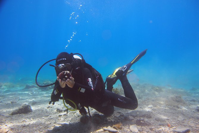 BRELA Bikini Dive *Try SCUBA DIVING* - Included Equipment