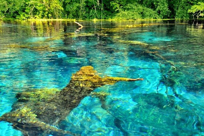 Butrint, Ksamil, Blue Eye, Lekuresi Castle. All-In-One Day Trip. - Tour Schedule and Flexibility