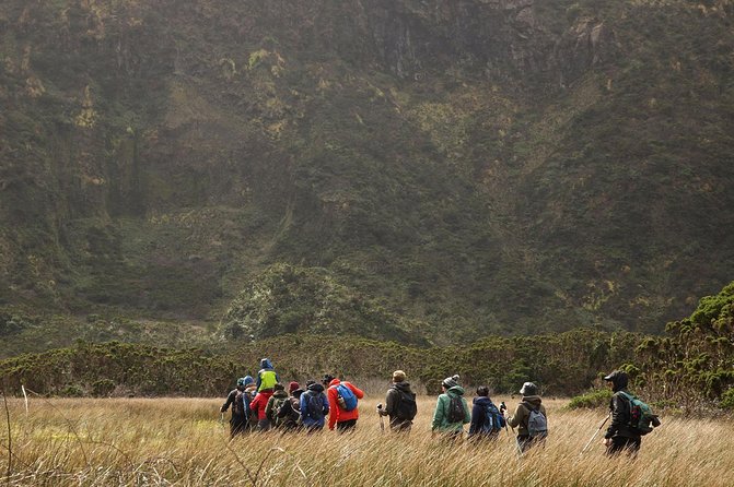 Caldeira Do Faial Descent - Private Hiking Tour - Importance of Guided Tours in Natural Reserves