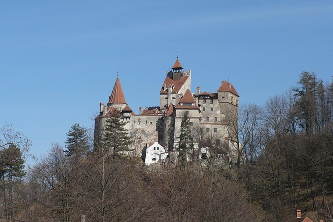 Castles Day Tour Peles - Bran - Rasnov From Brasov - Exploring Rasnov Fortress