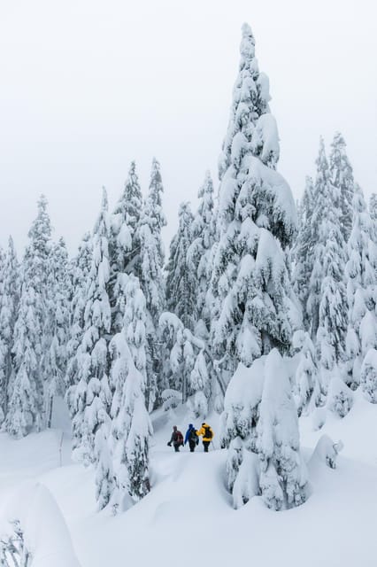 Chamonix: Snowshoeing With Local Cheese & Wine Tasting - Snowshoeing: A Peaceful Exploration of the Trails