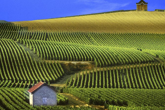 Champagne Day Tour With Reims, Cellars Visit & Champagne Tasting From Paris - Reims Cathedral Exploration