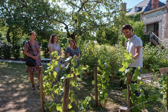 Champagne Tasting Class and Lunch Near Epernay - Winery Tour and Cellar Visit