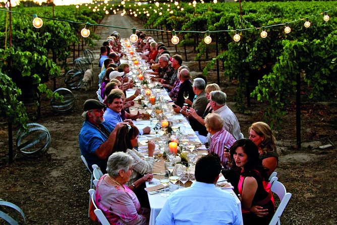 Chianti Vineyards: Small-Group Tour With Wine Tasting & Dinner - Culinary Delights: Menu Highlights