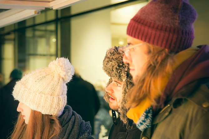 Christmas Market Vienna Tour - Meeting Point and Accessibility