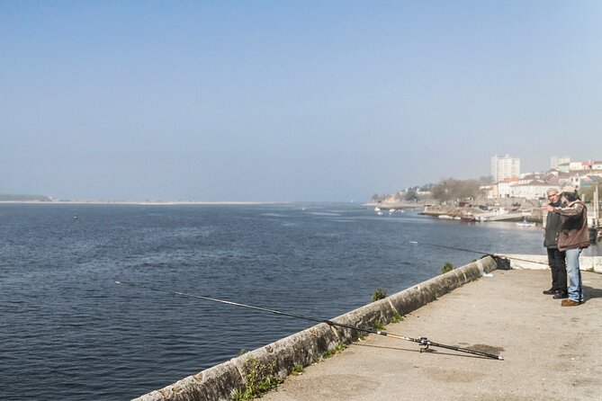 City Bike Rental in Porto - Meeting Point and Hours