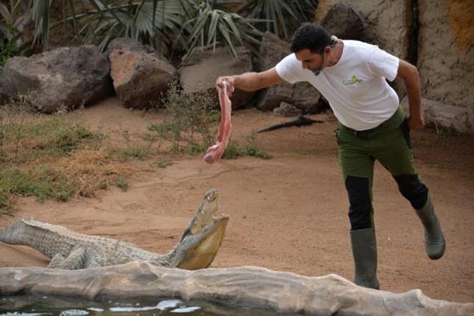 Cocodrilo Park Zoo Admission Ticket Review - Animal Attractions and Exhibits