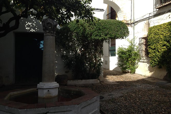Cordoba Relax Tour in English Tickets Included - Accessibility and Logistics