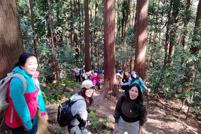Countryside Walking & Mountain Hiking in Organic Town Near Tokyo - Hiking Through Lush Mountain Trails