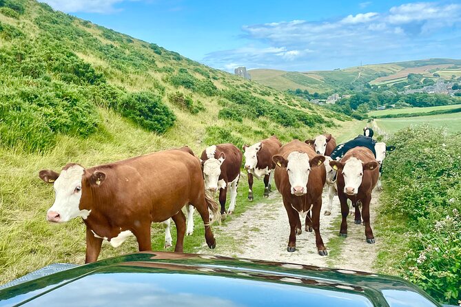 CRUISE SHIP SPECIAL- JEEP SAFARI - PRIVATE GUIDED TOUR (6 Hours) - Meeting and Pickup