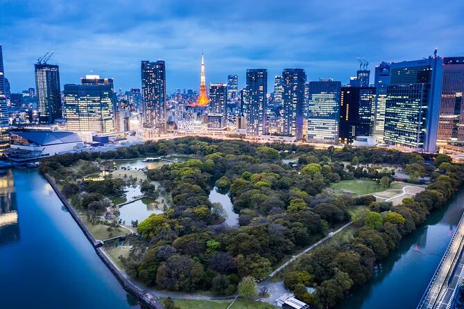 Customizable Private Tokyo Tour With an English-Speaking Driver - Pickup and Drop-off Options