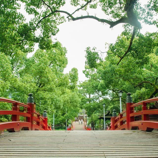 Day Bus Trip to Fruits Pick & Dazaifu, Yanagawa in Fukuoka - Fruits Picking Experience