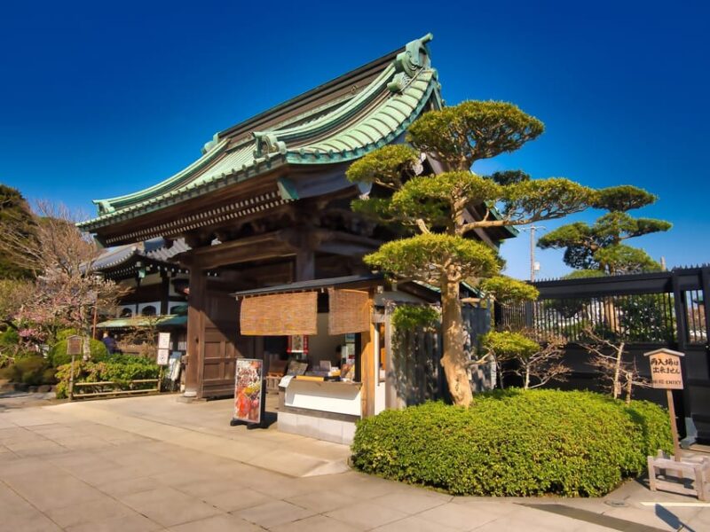 Day Trip Kamakura From Tokyo With National Licensed Guide - Itinerary and Transportation