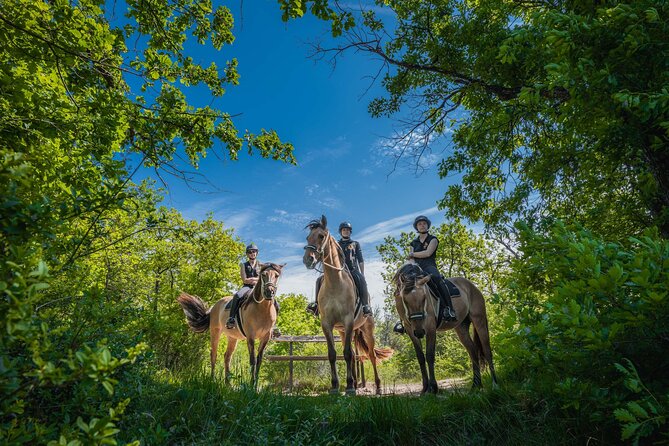 Day Trip to Fontainebleau : Horse Riding, Gastronomy and Castle - Whats Included in the Day Trip