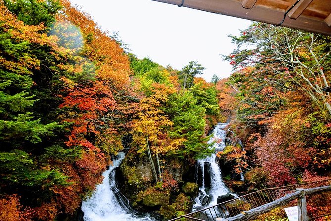 Daytrip to Nikko From Tokyo With Local Japanese Photograher Guide - Private Transportation and Pickup
