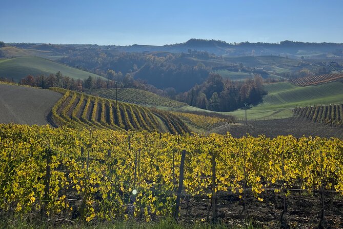 Discover Brunello Wines With Diwine Experience - Visiting Unique Wineries