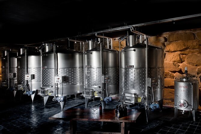 Discover Sustainable Wines in a Guided Tour and Tasting - Getting to the Winery