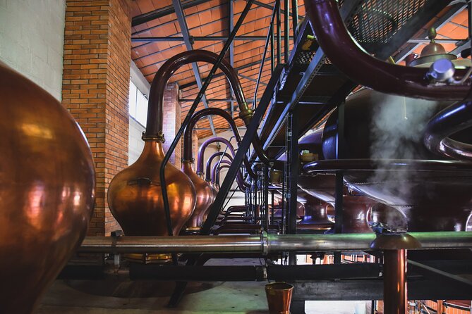 Discovery Tour Braastad Cognac - Unique Family-Run Distillery
