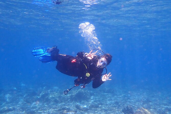 Dives Packages With Transfers in Tenerife - Meeting Information