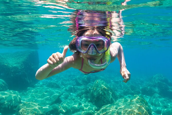 Dolphin Watching and Snorkeling in Figarolo in Sardinia - What to Expect