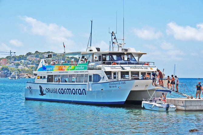 Dolphin Watching in Majorca - Booking and Cancellation Policy