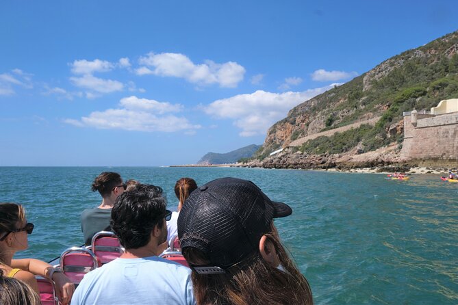 Dolphin Watching in Setúbal - Highlights of the Dolphin Watching Activity