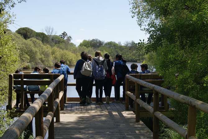 Doñana National Park in 4x4 and El Rocío - Discovering the Charming Village of El Rocío