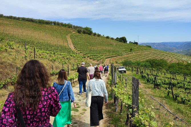 Douro Tour With Wine Tasting, River Cruise and Visit to Lamego - Enjoy the Scenic River Cruise