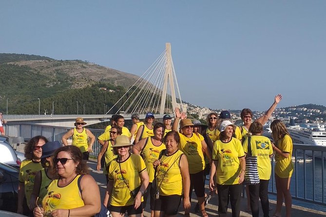 Dubrovnik Panorama Sightseeing With Tour Guide in Minivan - Comfort and Convenience of the Minivan