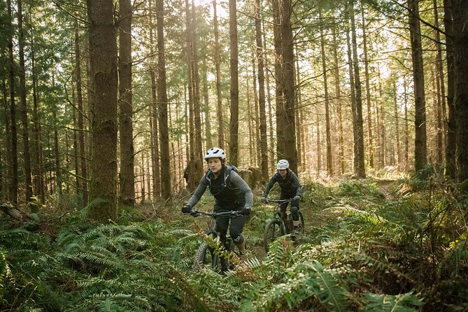 E-Bike Half-Day Trip to Harrys Rock or Corfé Castle - Biking Experience and Safety