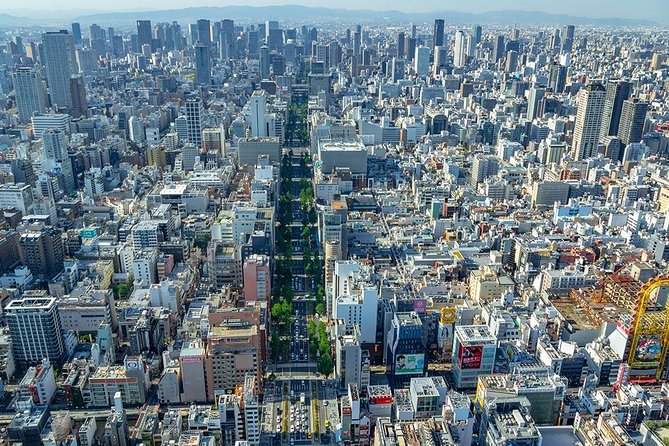 【25 Mins】Osaka Cessna Cruising- Touring the Tsutenkaku and USJ - Participation Requirements