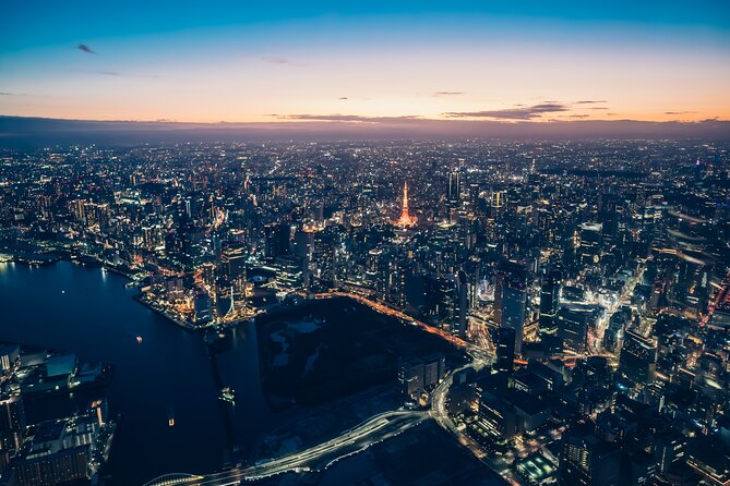 【30mins-5pax】Tokyo Departure: Sunset & Night Cruising Flight - Passenger Requirements
