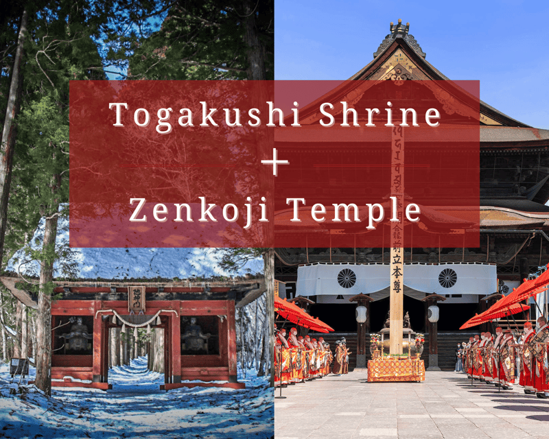 【Private】[Togakushi Shrine+Zenkoji Temple]From Nagano/Myoko - Itinerary Highlights