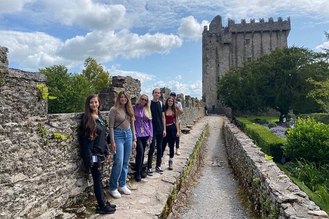 Easy Access Blarney Stone and Castle Gardens Tour Review - Accessibility and Inclusions