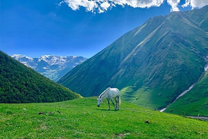 ️Private Full-Day Tour to Mtskheta and Kazbegi(Stepantsminda) From Tbilisi - Itinerary Highlights