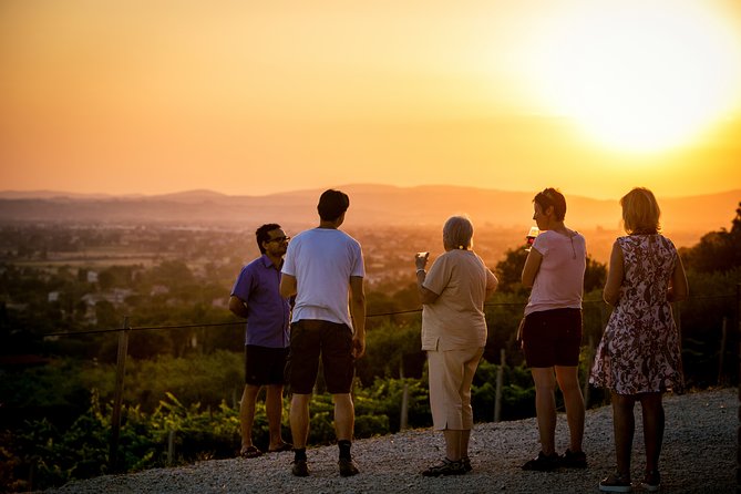 Enjoy and Taste the Flavors of Wine in an Open-air Venue - Vineyard Exploration